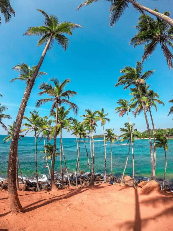 Sri Lanka Private 8-day Tour; Transport, Guide, Hotels, Food - What Makes This Tour Stand Out