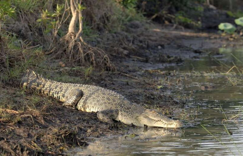 Sri Lanka Private Tour- Beach, Sinharaja, Yala, Udawalawe - In-Depth Breakdown of the Itinerary