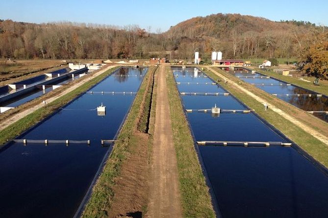 Sturgeon Fish-Farm Visit and Caviar Master Class Tasting in Neuvic - Who Is This Tour Best Suited For?