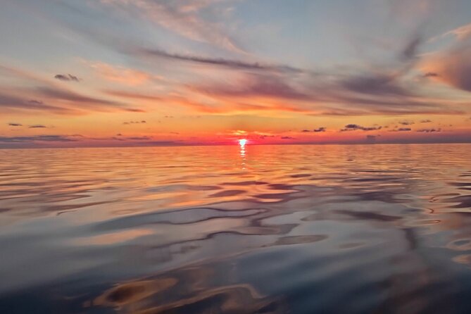 Sunset Dolphin Watching Boat Tour from Vrsar - Pricing and Value Assessment