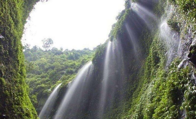 Surabaya to Bali: All Inclusive 9-Day Tour with local guide - Authentic Experiences That Matter