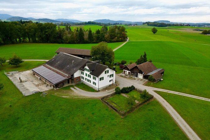 Switzerland Picturebook Private Tour: Farm, Villages, & Mountains - Final Thoughts