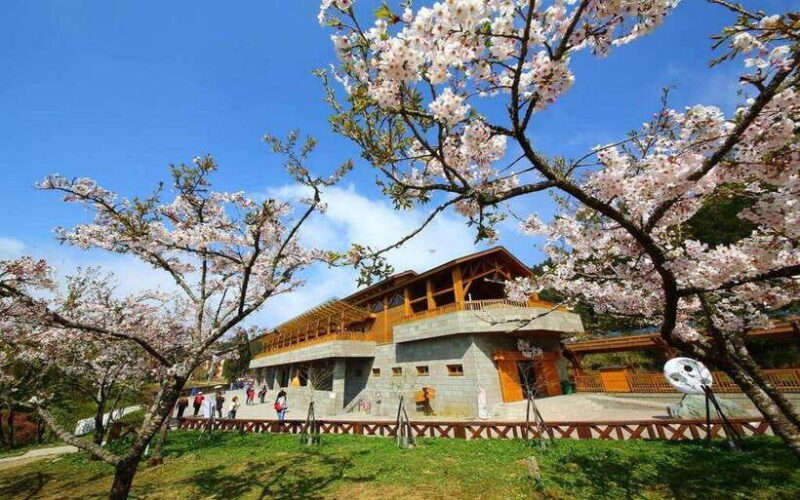 Taiwan: Alishan National Forest Recreation Area E-ticket - The Actual Tour Breakdown