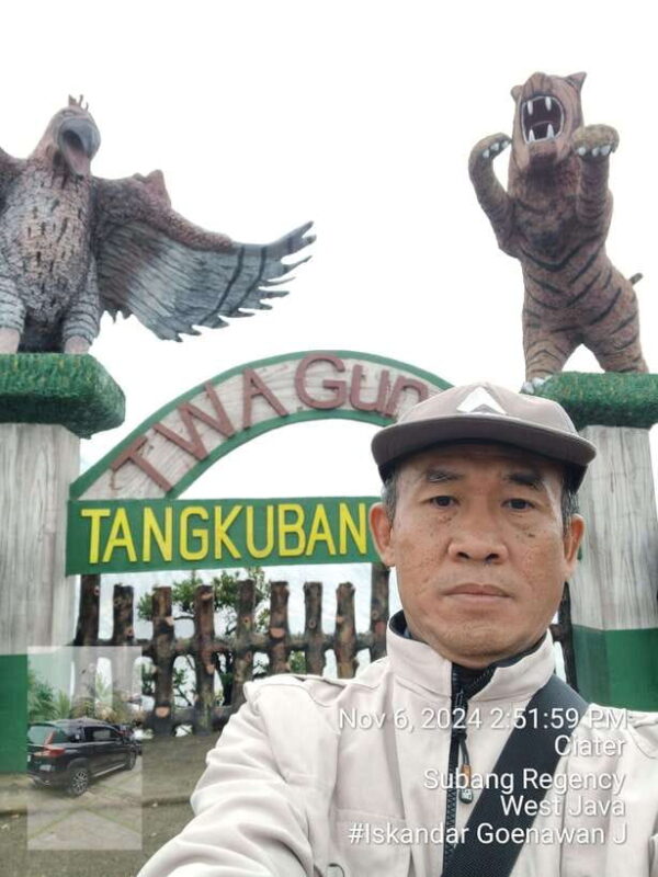 Tangkuban Perahu Mountain Tour - The Experience: Authentic and Practical