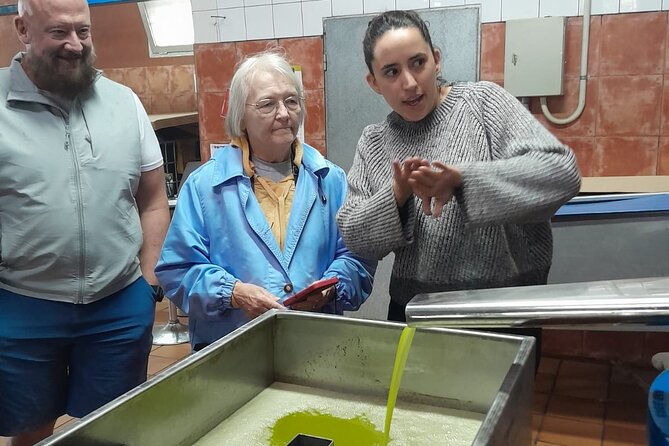 Tarragona: History & Olive Oil tasting from Barcelona - Who Will Love This Tour?