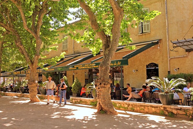 Taste of Provence, Countryside Villages - Half Day Private Tour - What Travelers Say