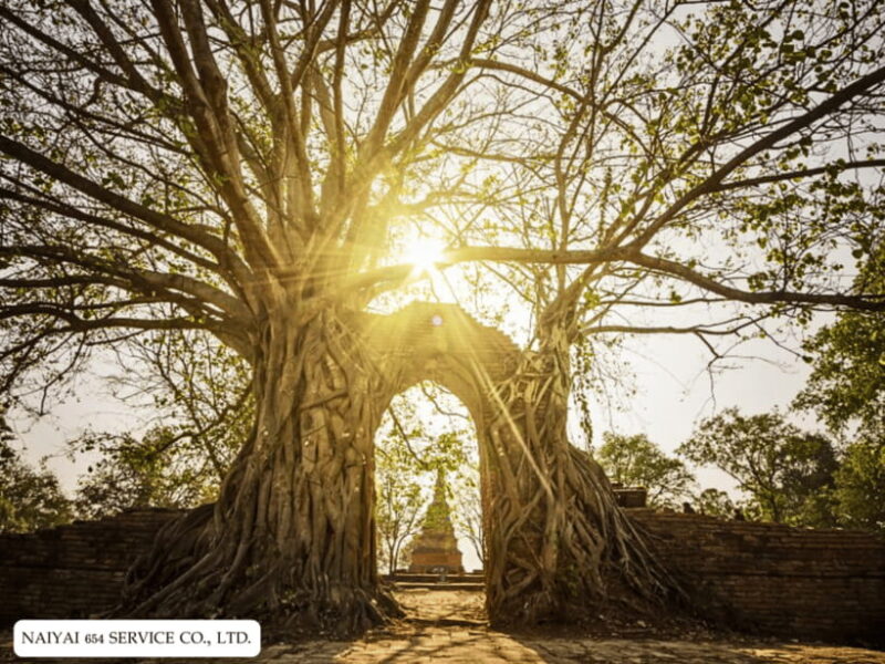 Temple Visits in Ayutthaya and a Walk Through History. - Detailed Breakdown of the Itinerary