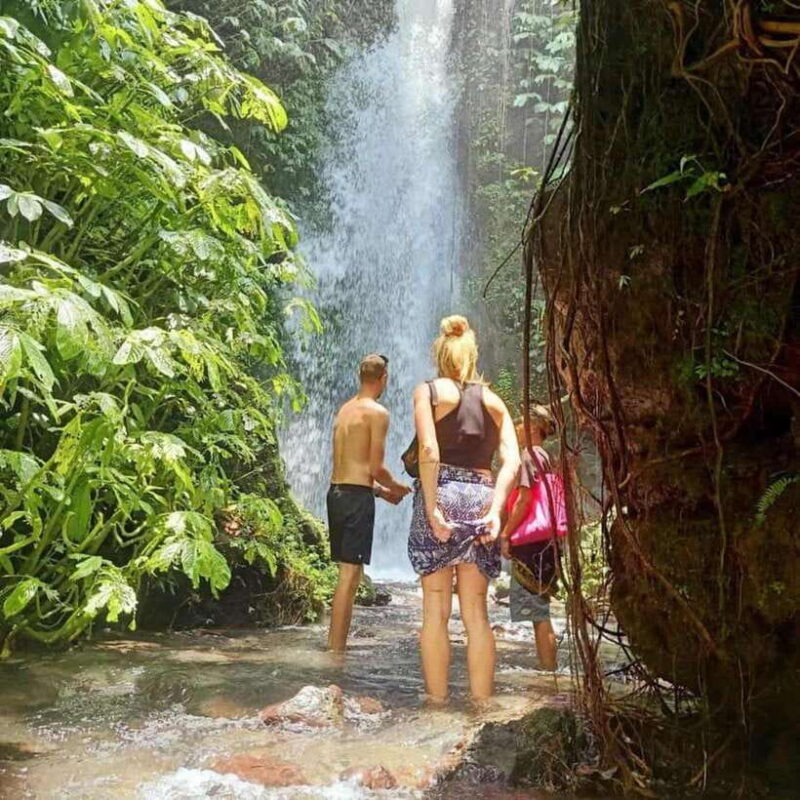 Tetebatu : Walk on Rice Terrace, Waterfall Include Luch - Who Should Book This Tour?