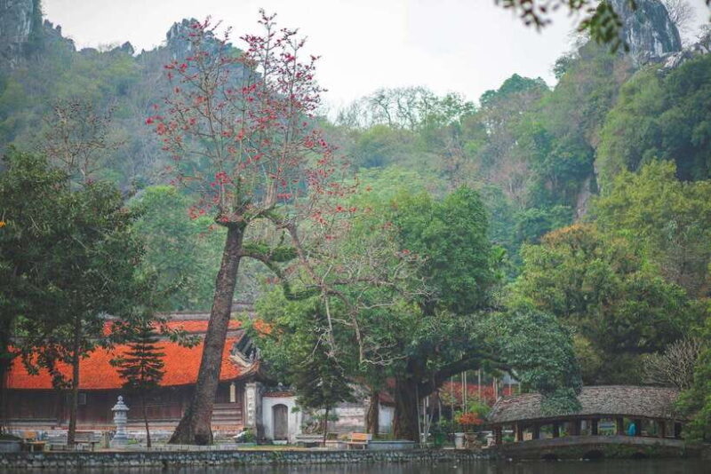 Thay Pagoda  Duong Lam Ancient Village 1 Day Private trip. - An Introduction to the Experience