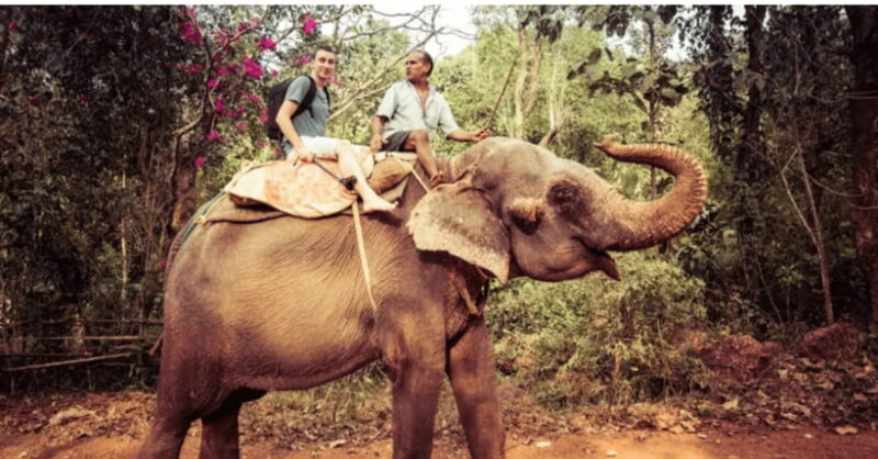 TheActivity that won the Best Tourist Attraction in SriLanka - FAQs