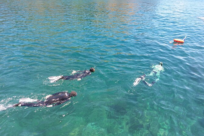Third Island: Ilhéu das Cabras Boat Tour + Snorkeling - What’s Included and What’s Not