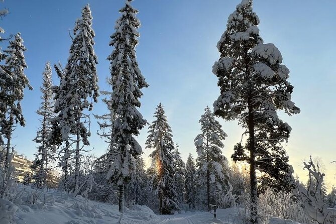 Top of Oslo Snowshoe Tour - Why This Tour Offers Great Value