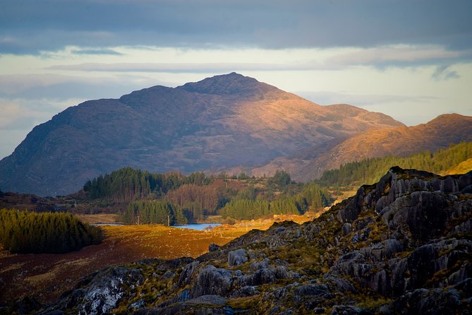 Torc mountain & waterfall hike. Killarney. Private guided group. 3½ hours. - Who Should Consider This Tour?