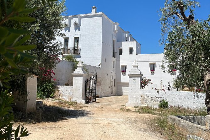 Tour of the oil mill with tasting - Practical Details and Tips