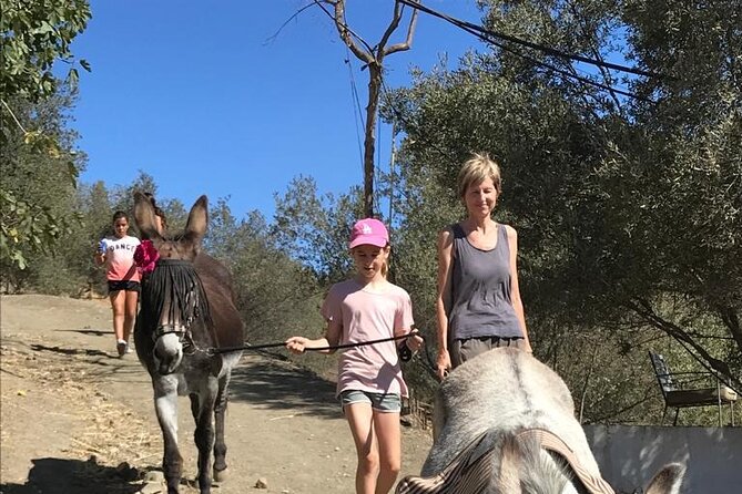 Tour the Sanctuary and Walk with the Donkeys and Share their Love - The Value and Practicalities