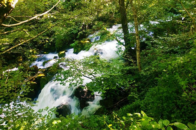 Tour to Lechkhumi from Tbilisi (Ghvirishi,Lailashi, Kulbaki,Rachkha,Usakhelouri) - Reviews Highlighting the Experience