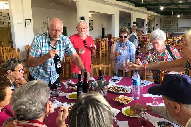 Tour Visiting banana plantation and winery in Tenerife - Transportation, Group Size, and Overall Value