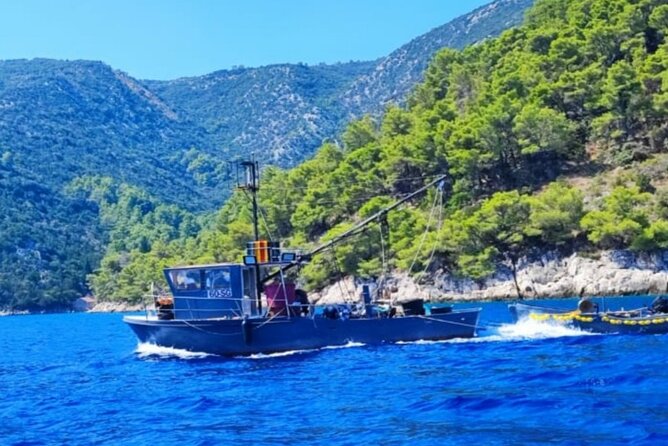 Traditional Mengo Fishing & fish picnic Hvar - A Delicious Fish Picnic