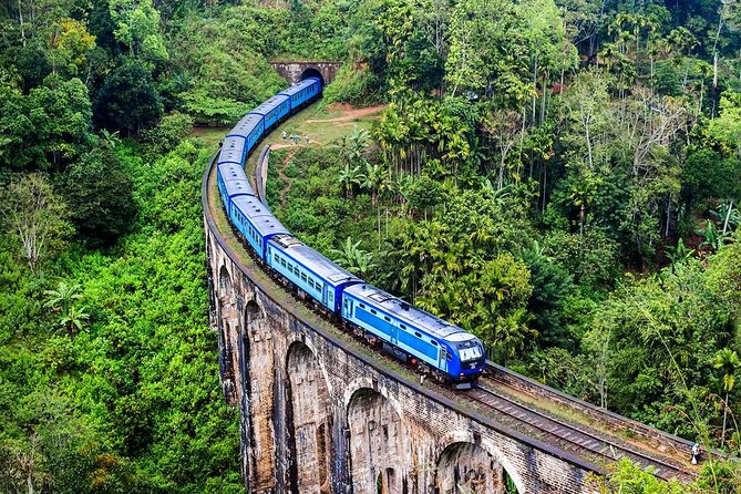 Train Experience Through The Alps (Full Day) - Food, Rest, and Group Dynamics