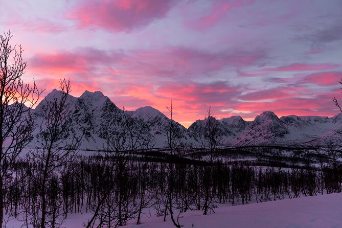 Tromso-Snowshoeing Excursion to Viewpoint - A Detailed Look at the Snowshoeing Tour