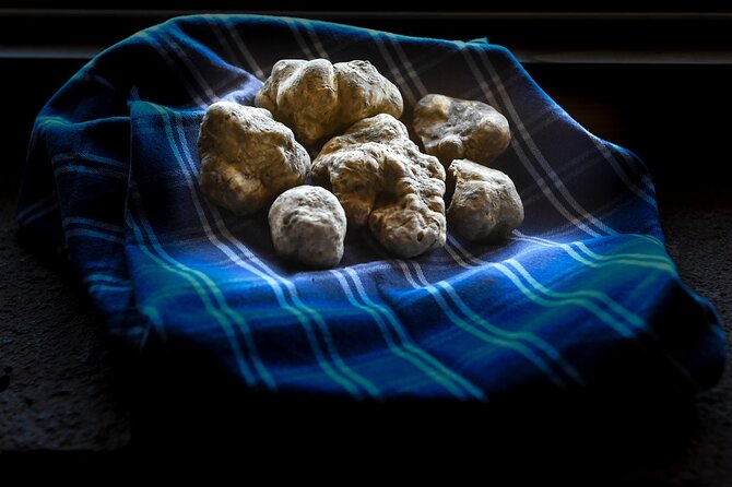 Truffle Hunting and Handmade Pasta in Ascoli Piceno - Analyzing the Price and Value