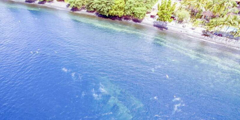 Tulamben: USAT Liberty Shipwreck Full-Day Snorkeling Trip - The Wreck and Marine Life