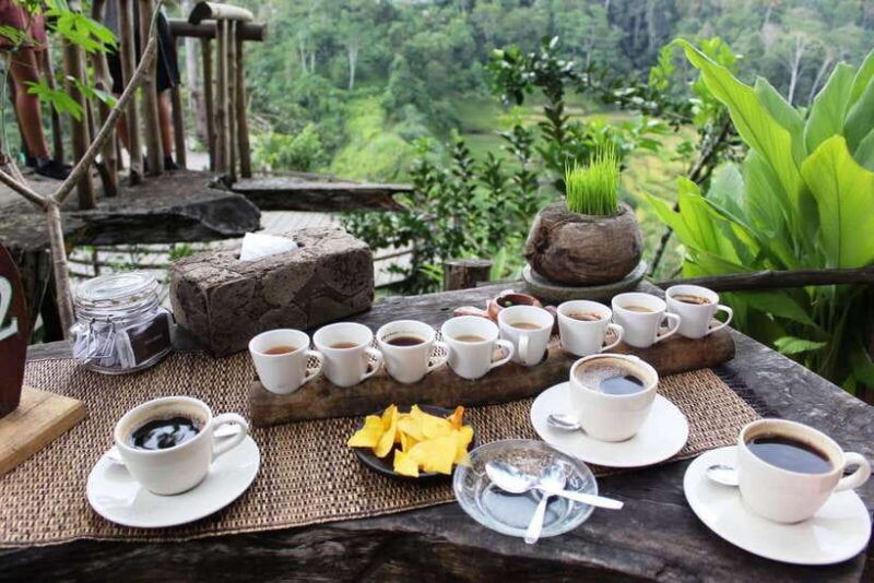 Ubud Bali Tour - Discover Ubud’s Artistic Heart