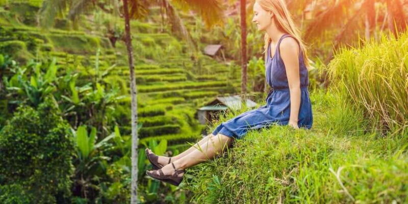 Ubud Essence Tour: Cultural Marvels, Art, and Nature Bliss - How the Day Unfolds: An Itinerary Breakdown