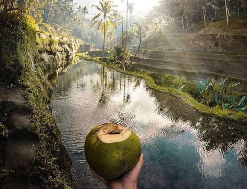 Ubud: Monkey Forest, Waterfall, and Rice Terrace Tour - What the Reviews Say