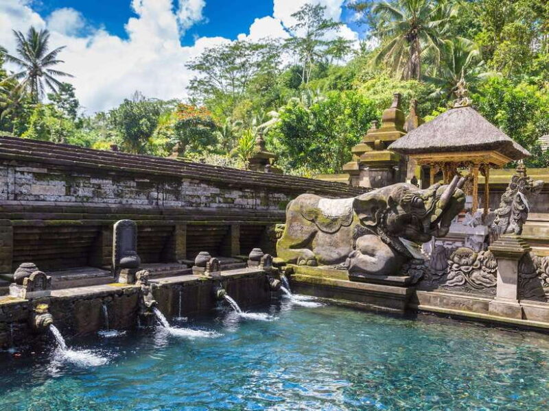 Ubud : Sacred Temples & Rice Terraces full day, Private Tour - Iconic Views of Tegalalang Rice Terraces