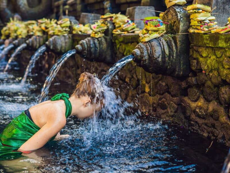 Ubud: Tirta Empul Temple, Rice Terraces, and Waterfall Tour - A Closer Look at the Experience