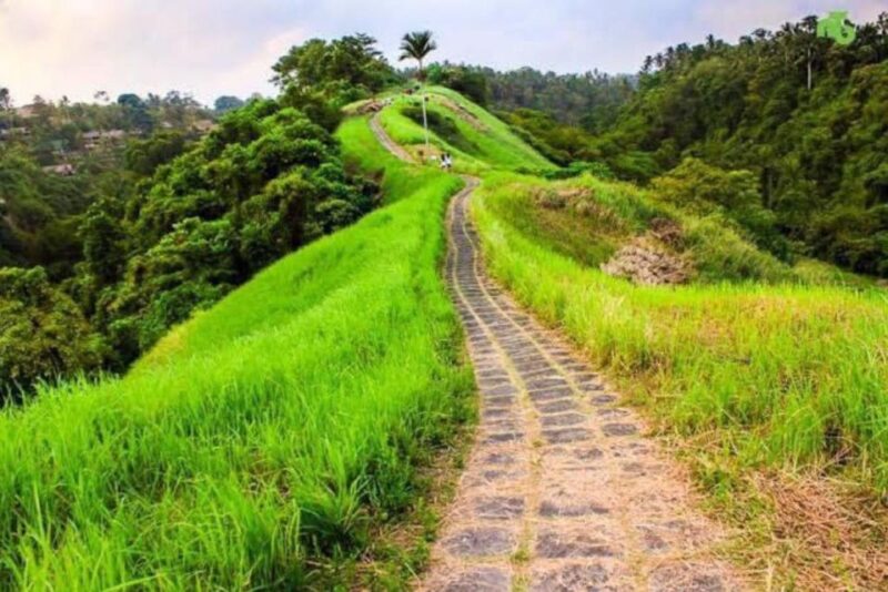 Ubud Tour : Ubud Higlight Culture,Tradition and Nature - What’s Included and What’s Not