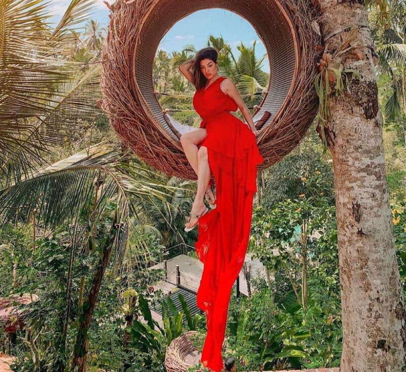 Ubud: Waterfall, Holy Water Temple,Swing&coffee plantation - Exploring the Highlights in Detail