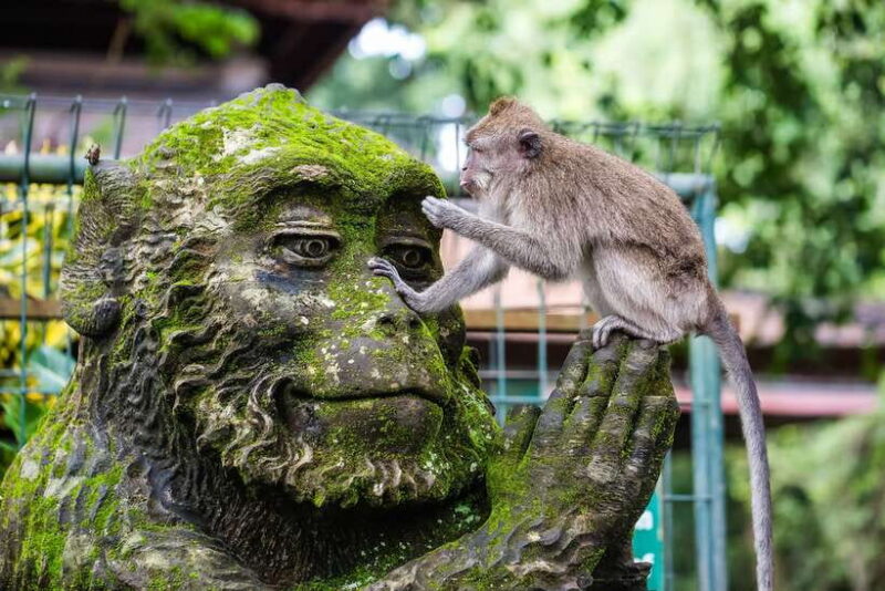 Ubud: Waterfall, Rice Terraces & Monkey Forest Tour - Guides and Reviews: What Travelers Say