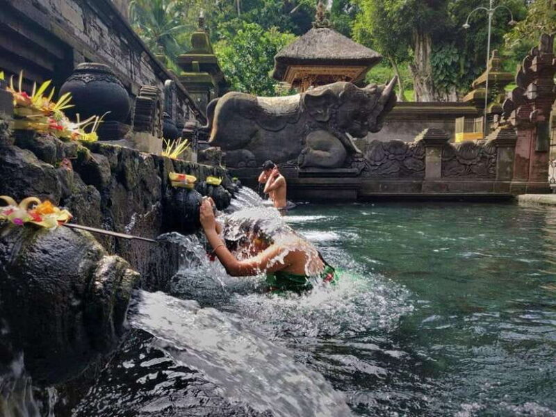 Ubud: Waterfalls, Temple, and Rice Terrace Private Day Tour - How the Itinerary Flows
