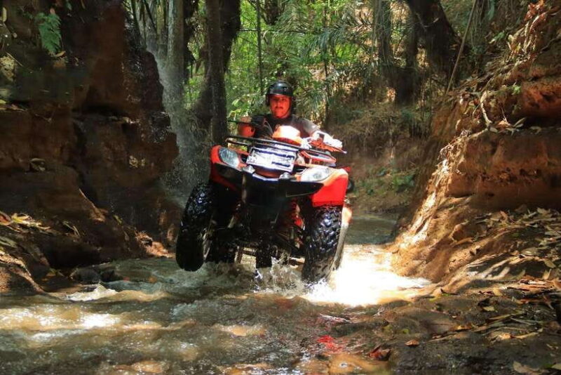 Ultimate Adventure with Bali Tarantula ATV (Hotel Transfer) - What Makes This Tour Stand Out?
