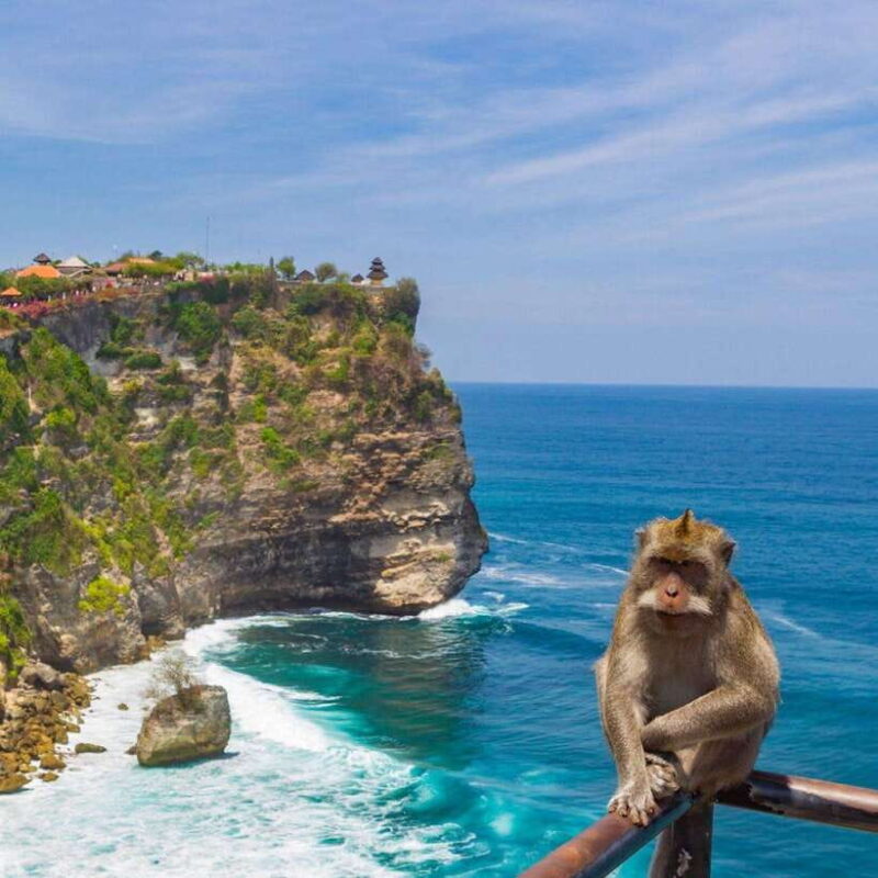 Uluwatu: Temples, Kecak Dance With Breathtaking Views - Who Should Consider This Tour?