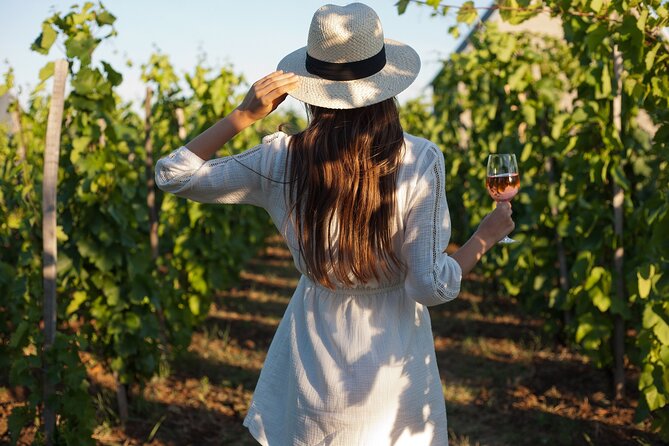 Veni vidi vino - the Freiburg wine hike - Frequently Asked Questions
