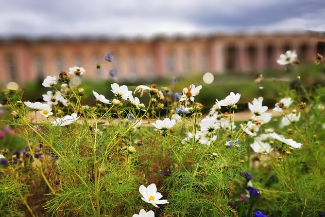 Versailles Full Day Private Guided Tour with Hotel Pickup - The Petit Trianon and Marie Antoinette’s Domain