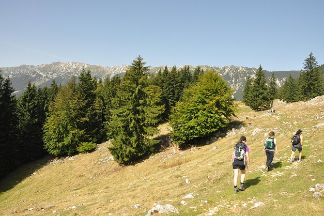 Village life in Transylvanian Carpathian mountains - 8 days - FAQ