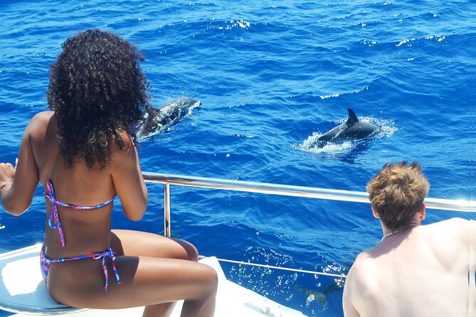 VipDolphins Luxury Whale Watching - The Sum Up