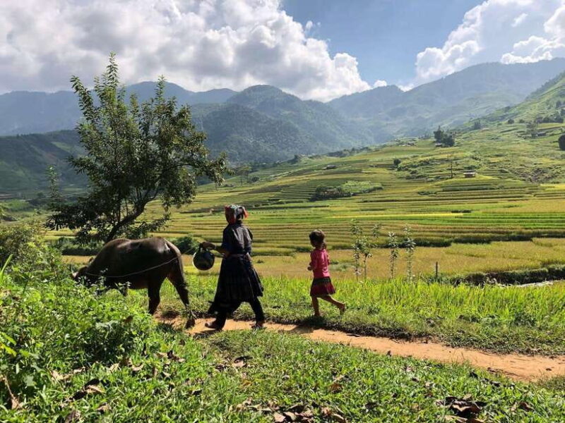 Visit all place in Sa Pa with easy riders - The Itinerary in Detail: What You’ll Experience