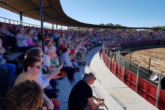 Visit Alvaro Domecq Horses and Brave Bulls in Freedom - Authenticity and Practicality: The Pros and Cons