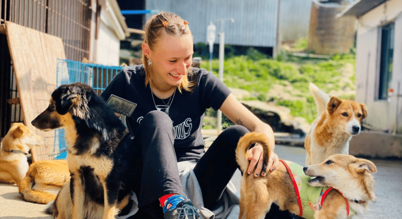 Visit our Non-profit animal sanctuary in Kathmandu! - FAQs