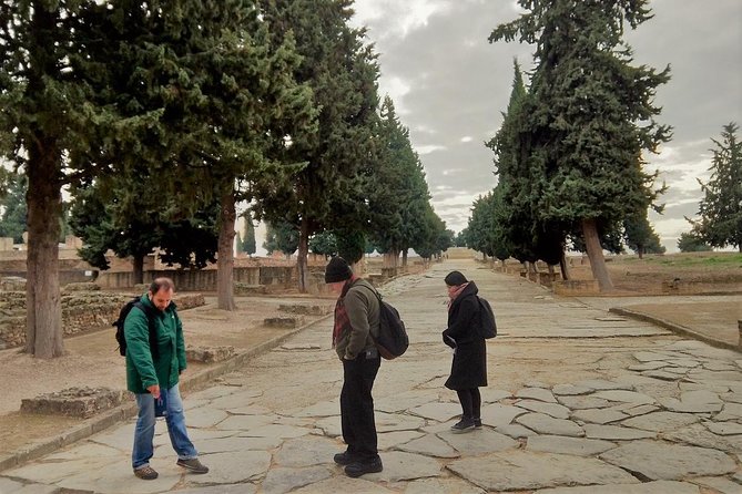 Visit to Italica Roman Ruins Tour tickets included - Who Is This Tour Best For?