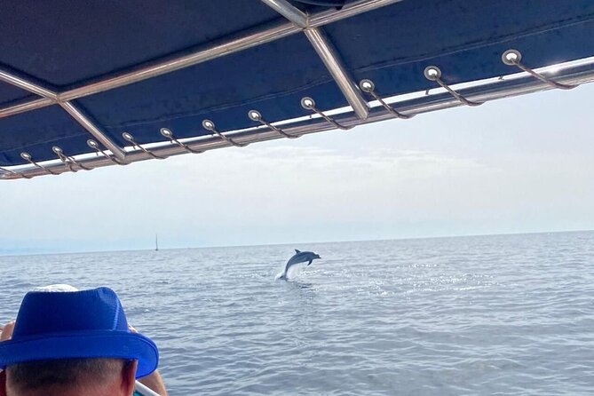 Walk and dolphin watching in Fuengirola + 1 drink - Frequently Asked Questions