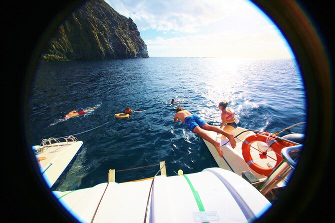 Whale watching and listening Eco-Catamaran Tour with Food Tasting - What’s Included and What’s Not?