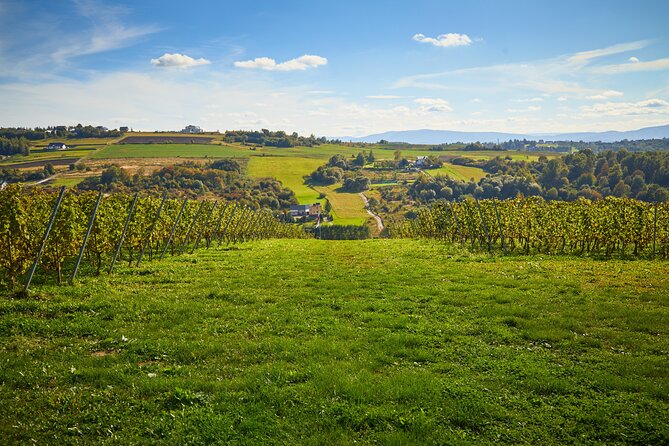 Wieliczka Vineyard: Wine tasting with local snacks - Concluding Remarks