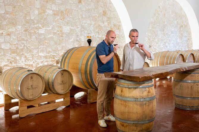 Wine and Food Pairing Experience at Alberobello Winery - What to Expect During the Tour