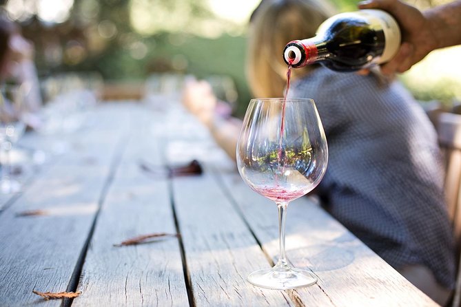 Wine experience Bologna hills - Who Will Love This Tour?